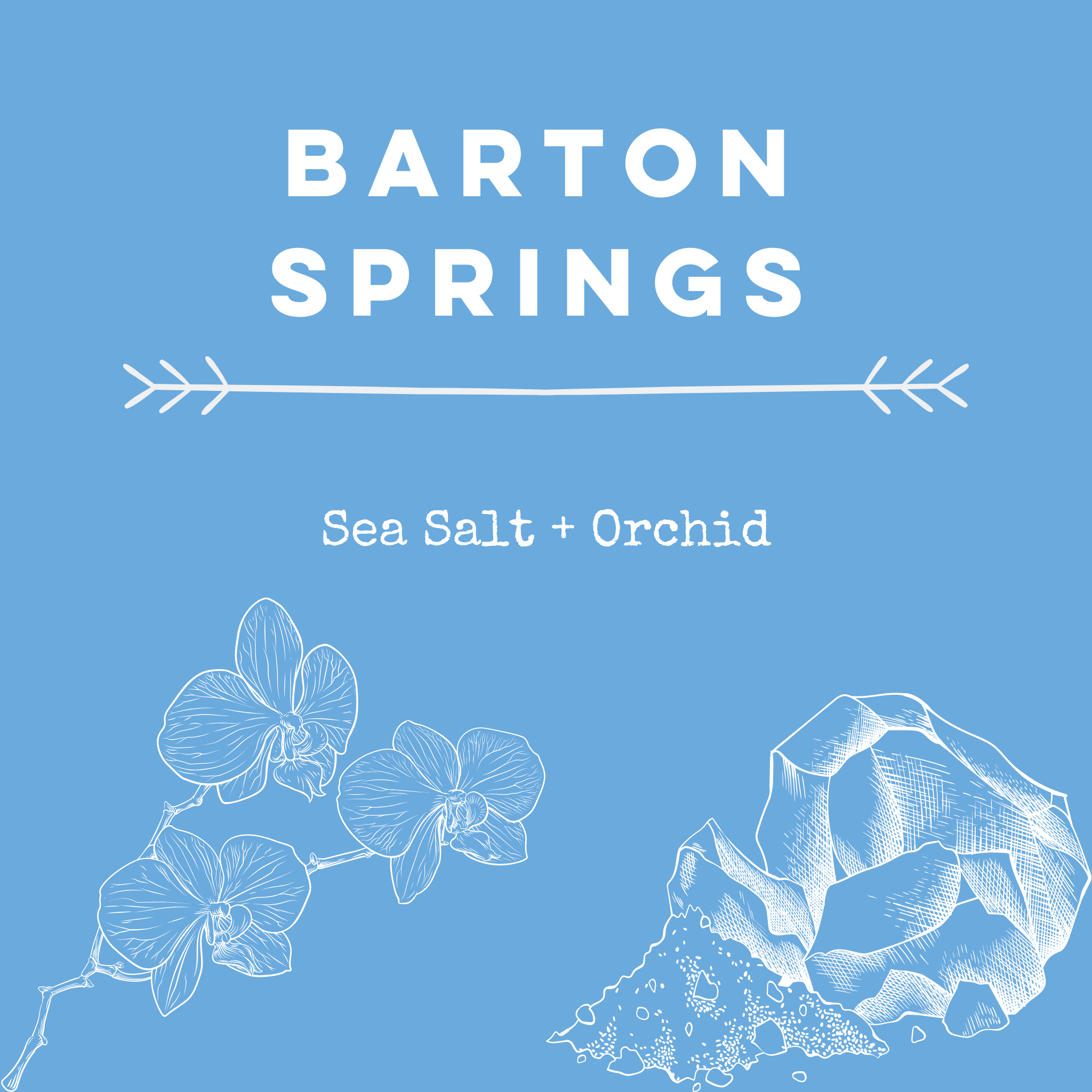 Barton Springs [Sea Salt + Orchid] Diffuser Oil – The Wild Susan Co
