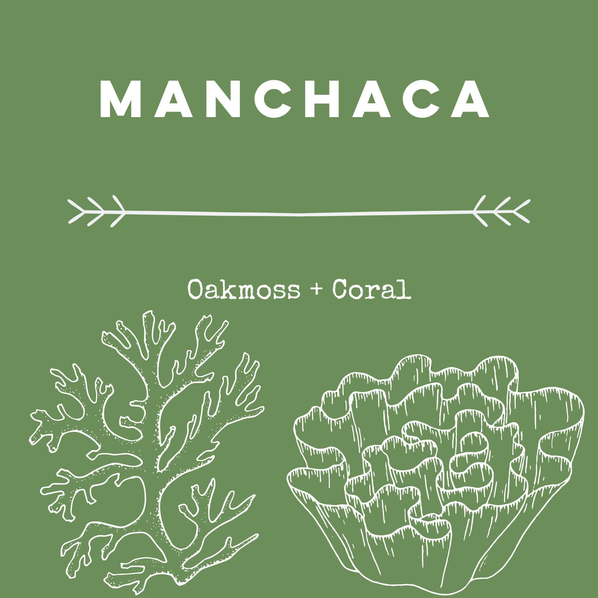 Manchaca [Oakmoss + Coral] – The Wild Susan Co